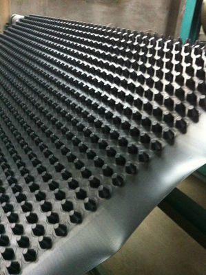 HDPE Dimpled Drainage Sheet for Green Roof 60mm Height Customizable ...